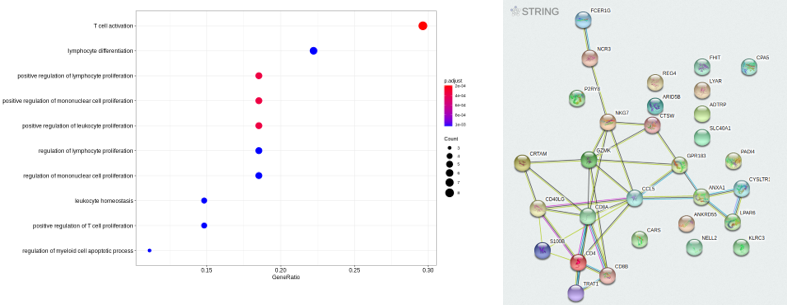 report · Wiki · bird_pipeline_registry / SRP-pipeline · GitLab